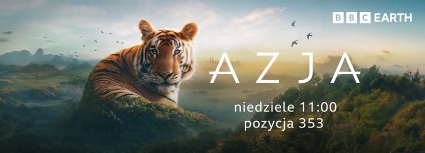 Internet światłowód, telewizja i telefonia komórkowa - INEA | INEA